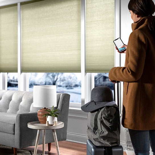 Cellular Shades (Honeycomb Blinds): The Ultimate Window Treatments for ...